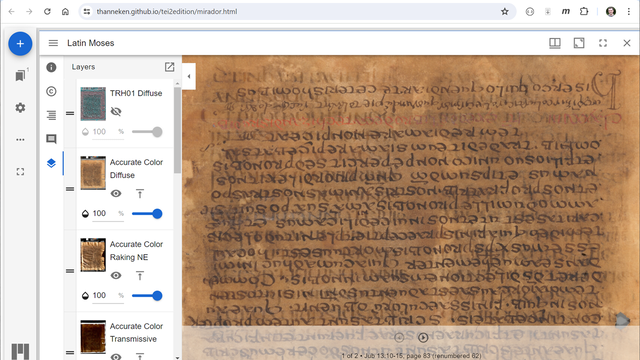 Streamlining Text Encoding Initiative (TEI), International Image ...